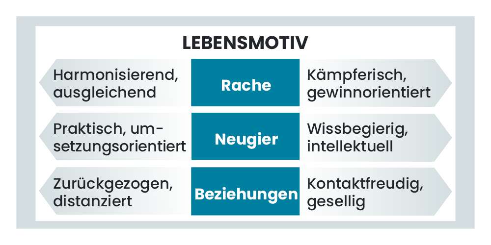 Reiss Motivation Profile® - Unternehmensberatung & Consulting ...